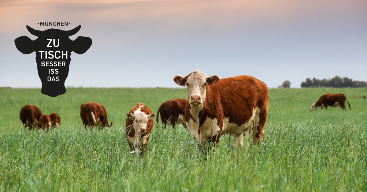 Dahoam | ZU TISCH München